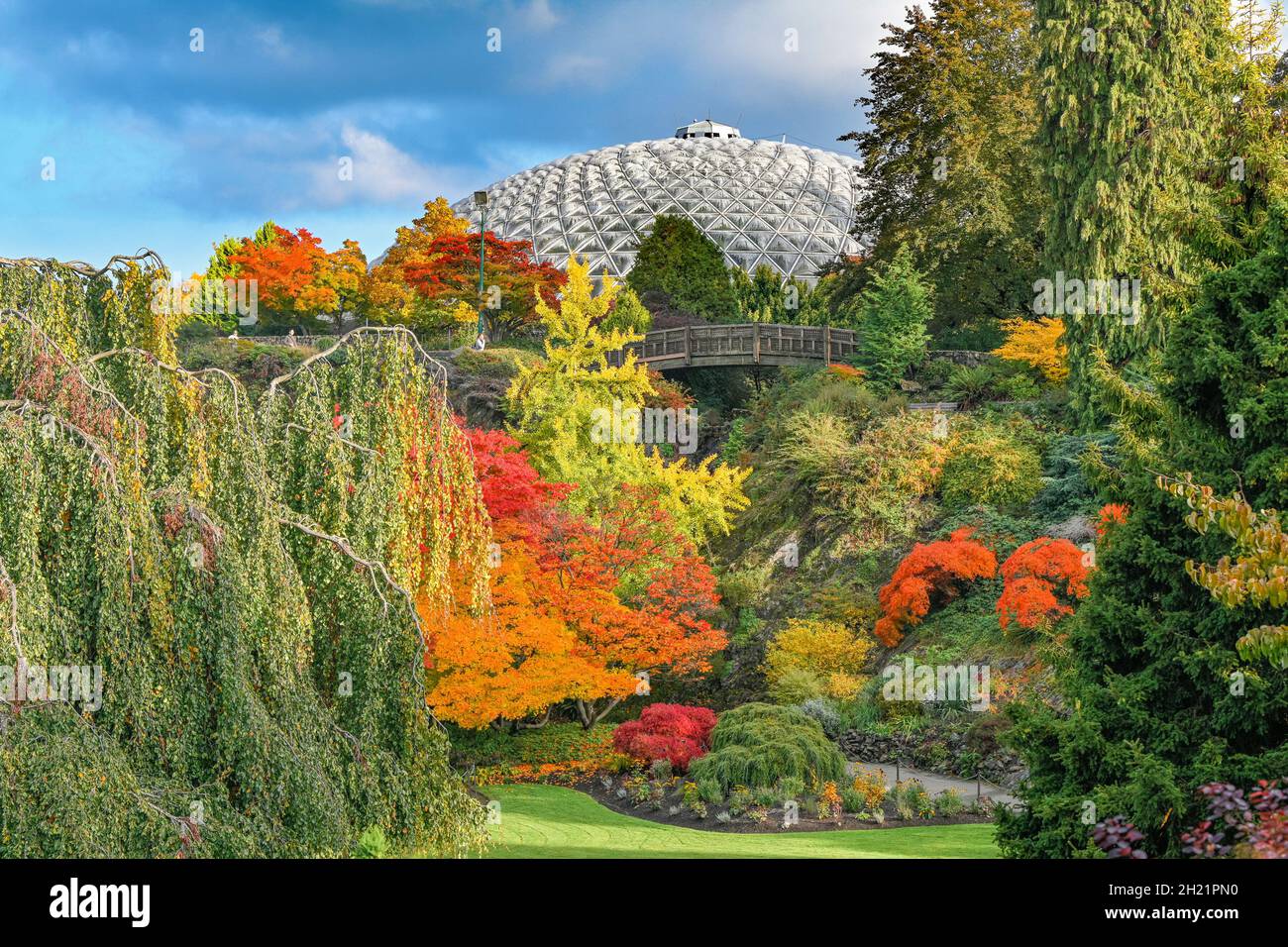 Queen Elizabeth Park British Columbia Discount | emergencydentistry.com