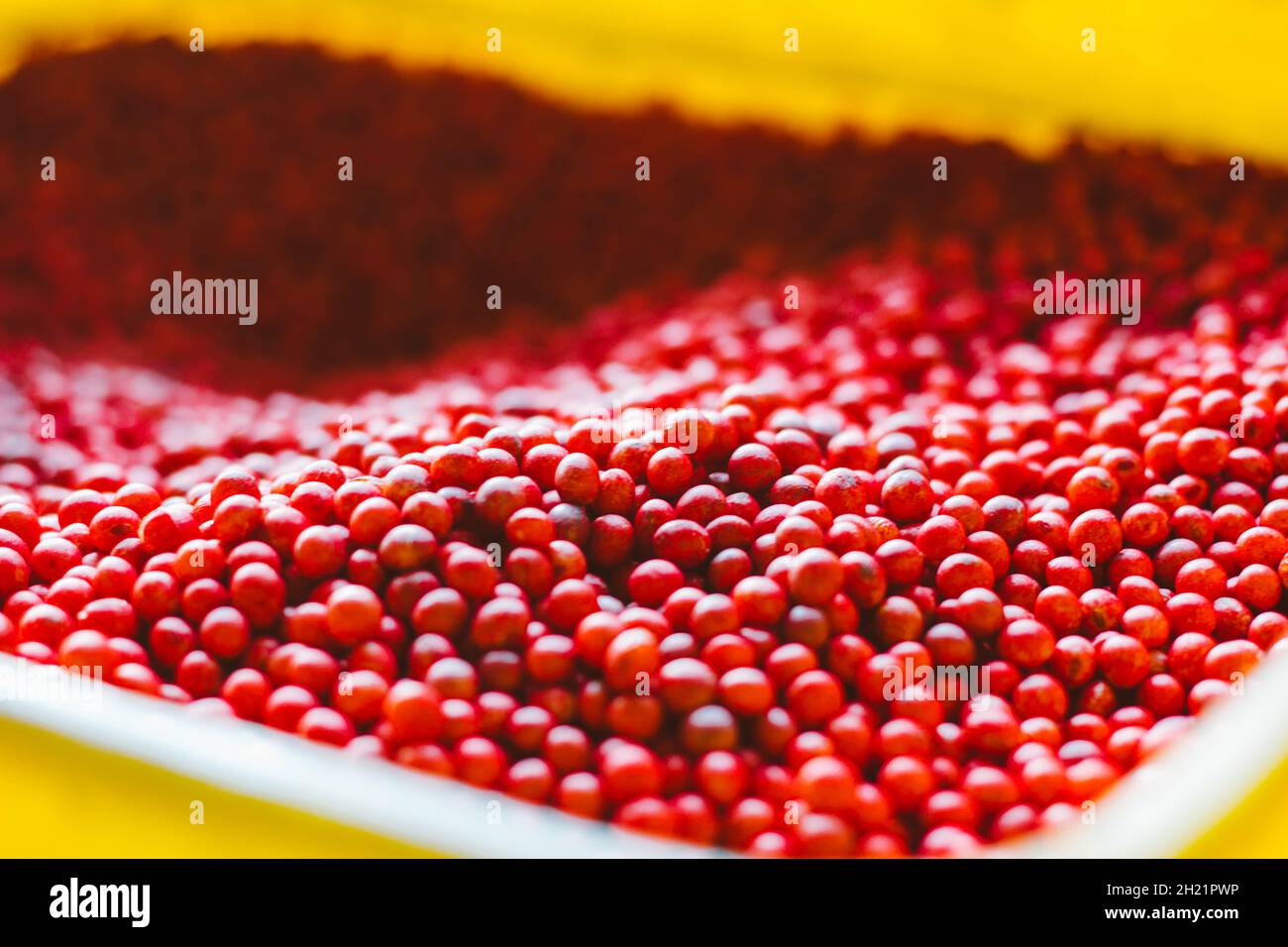 Treated seeds soybean seeds hi-res stock photography and images - Alamy