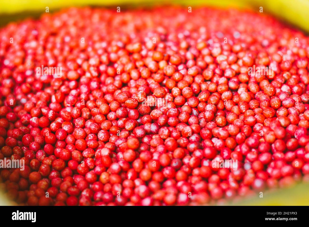 Treated seeds soybean seeds hi-res stock photography and images - Alamy
