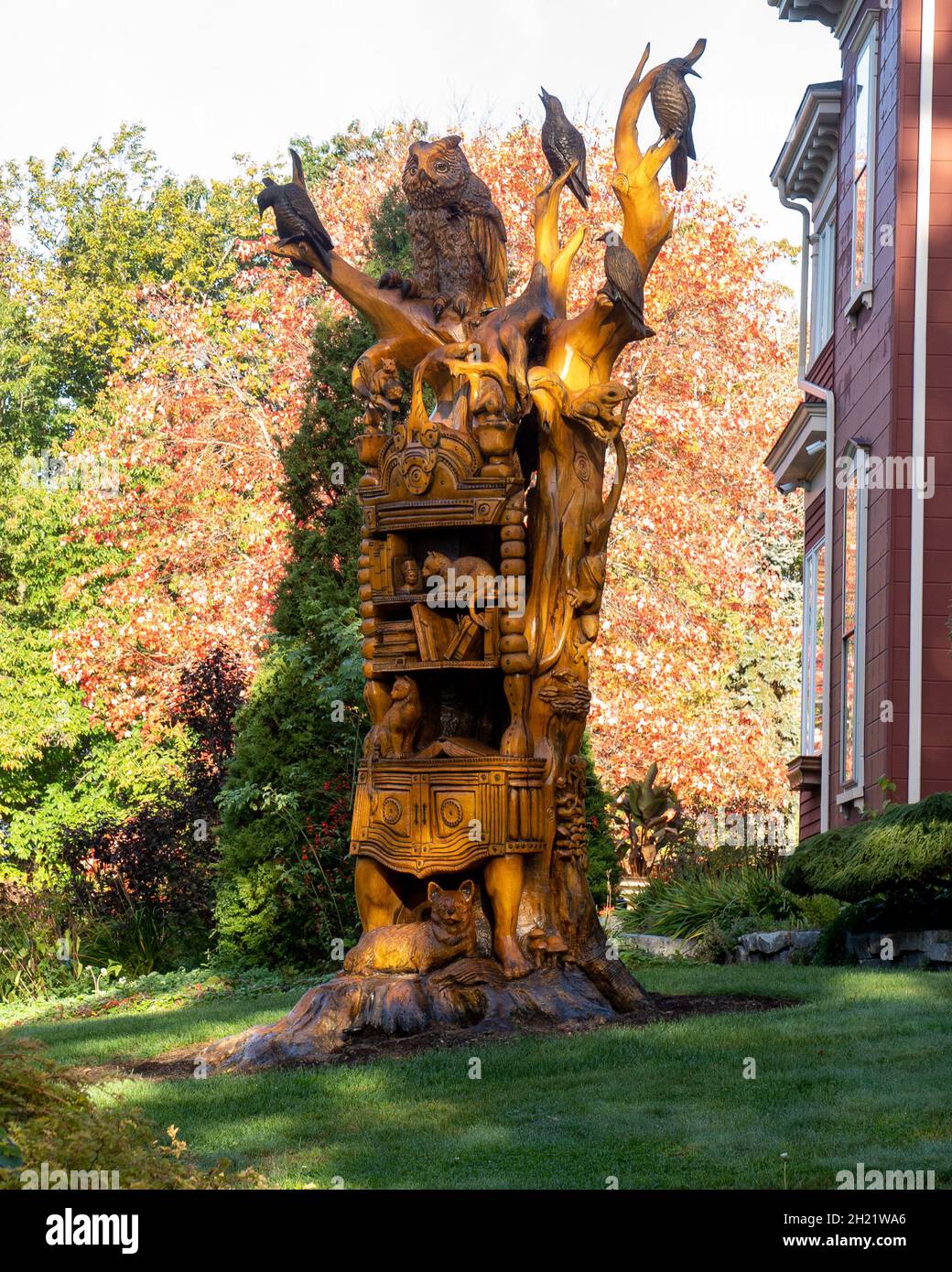 Bangor, ME - USA - Oct. 12, 2021: View of Josh Landry's dead ash tree ...