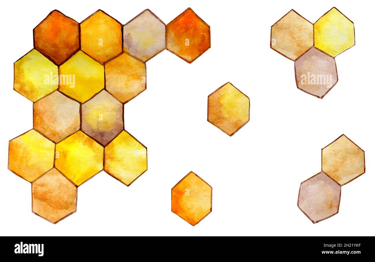 Honeycomb Watercolor