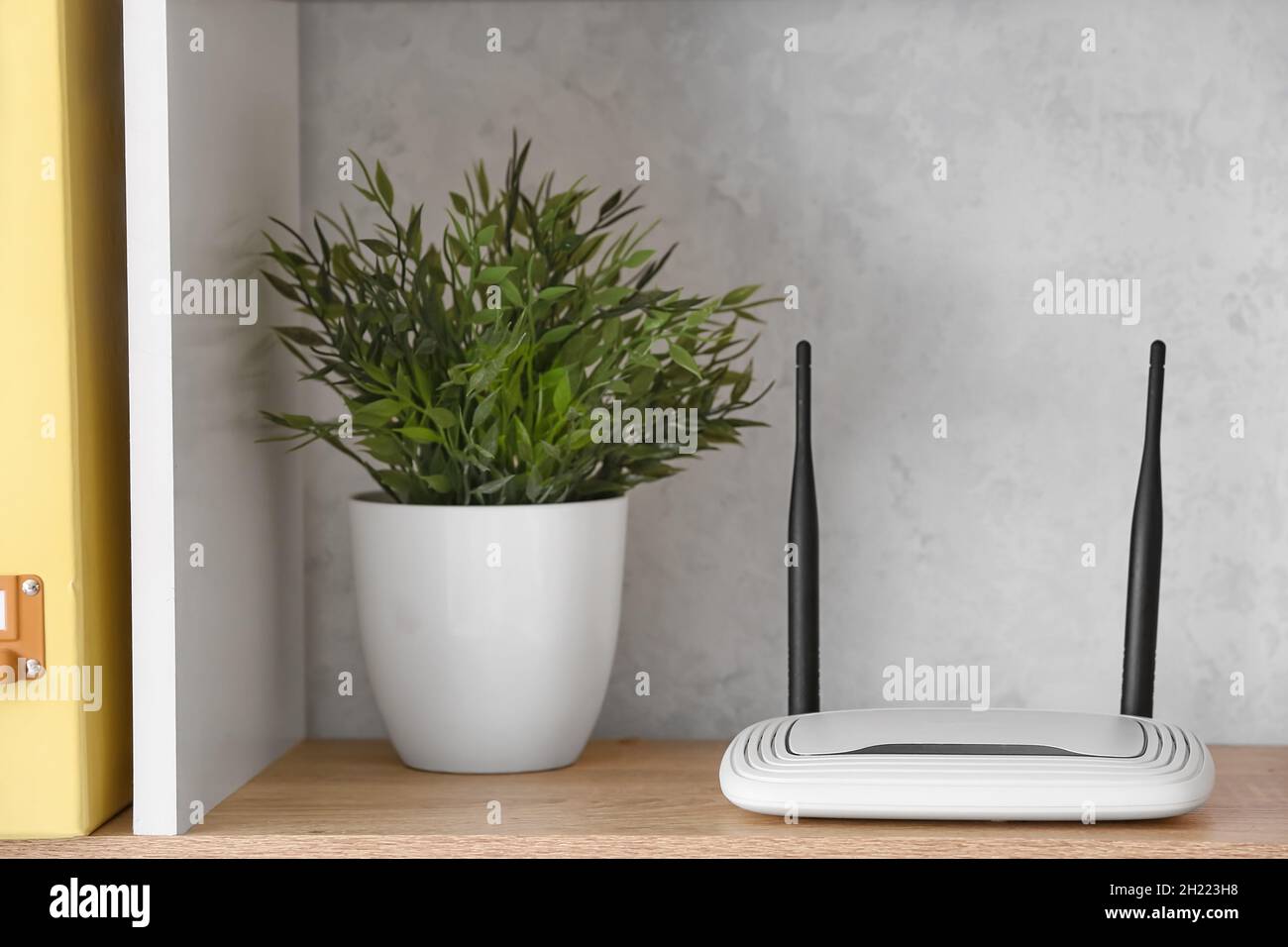 Modern wi-fi router and houseplant on shelf near light wall Stock Photo ...