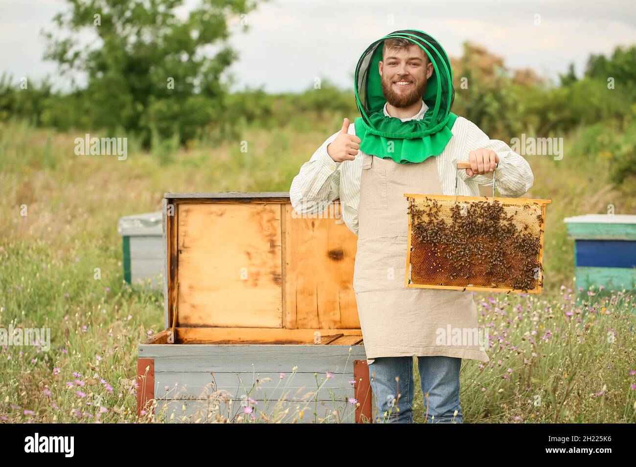 Bee happy crop hi-res stock photography and images - Alamy