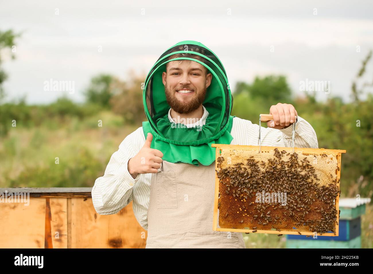 Happy beekeeper working at his apiary Stock Photo - Alamy