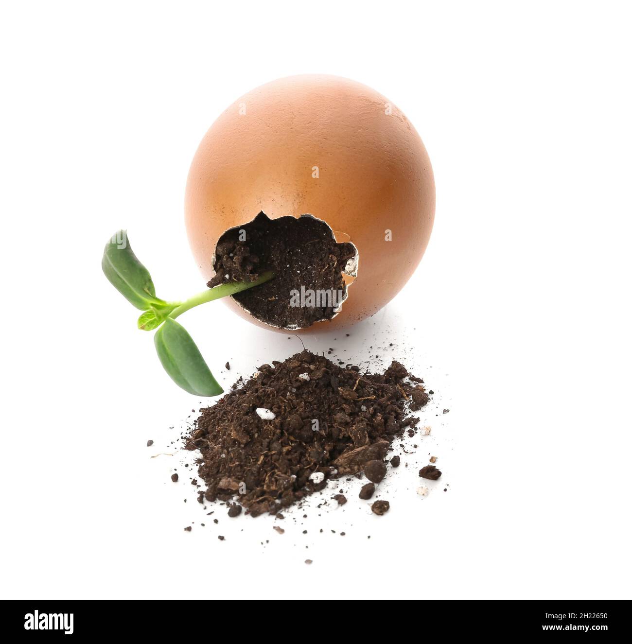 Green seedling in eggshell with heap of soil isolated on white ...