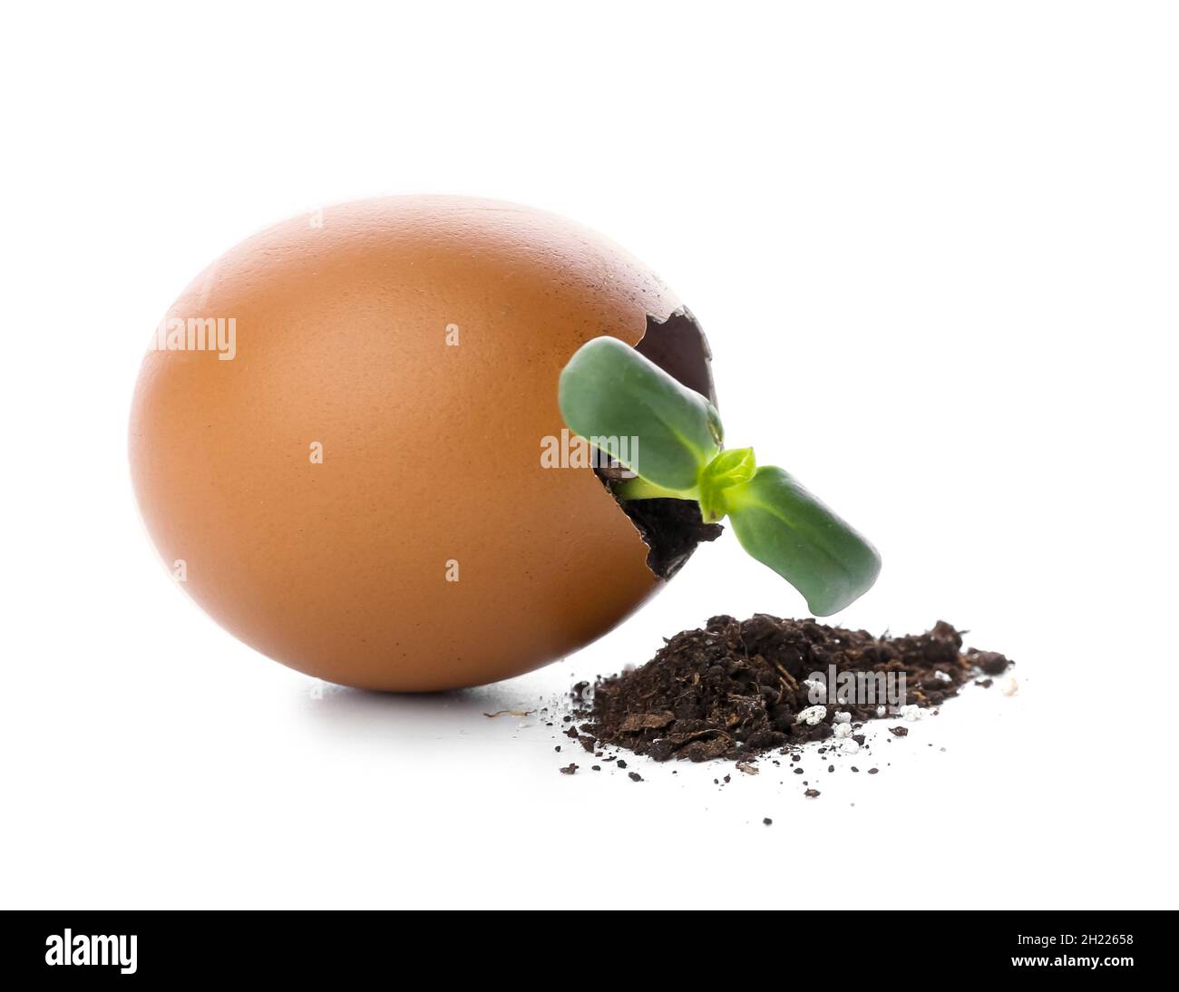 Green seedling in eggshell with heap of soil isolated on white ...