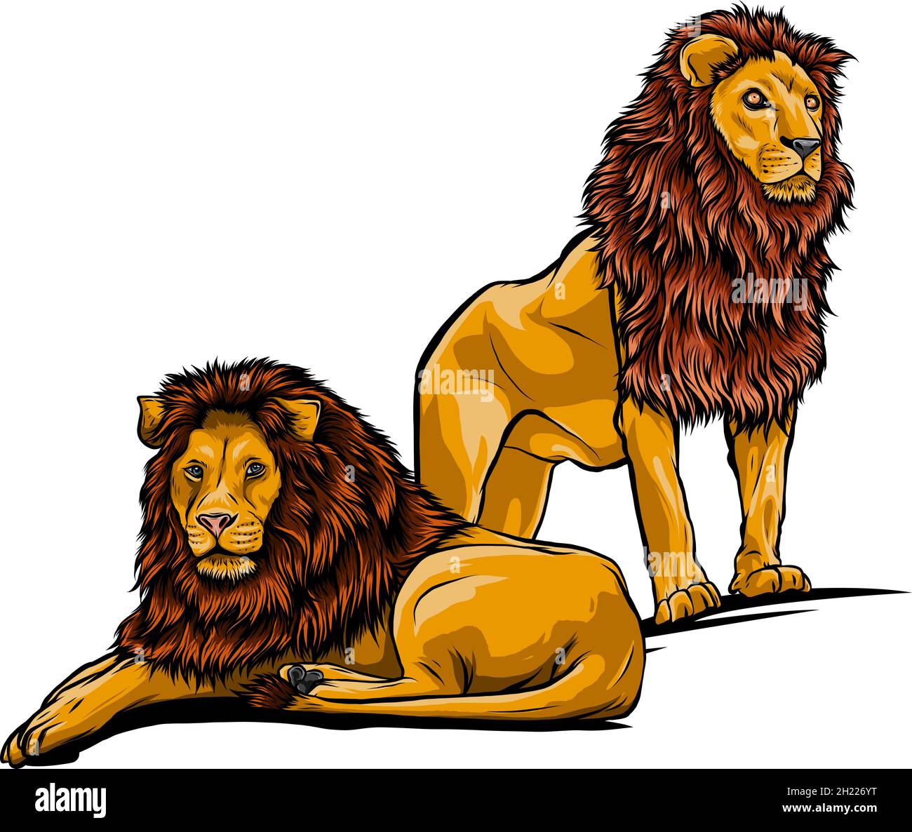 two lion. Vector illustration isolated on the white background Stock ...