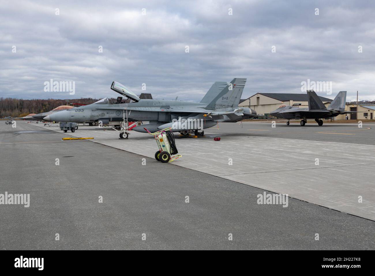 Royal Canadian Air Force CF 18 Hornet fighter jet on alert during ...