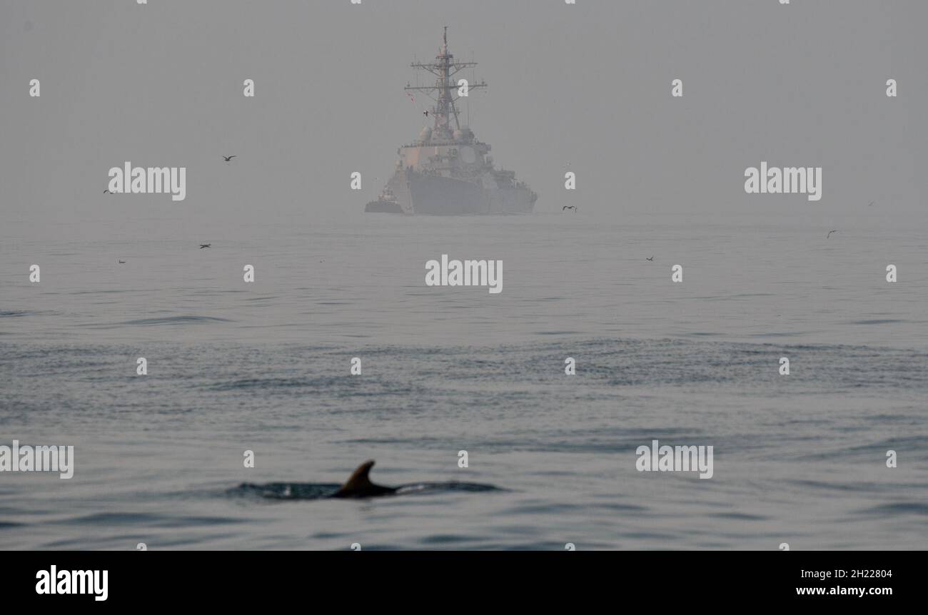 A dolphin ducks into the water as USS Fitzgerald (DDG 62) slips into ...