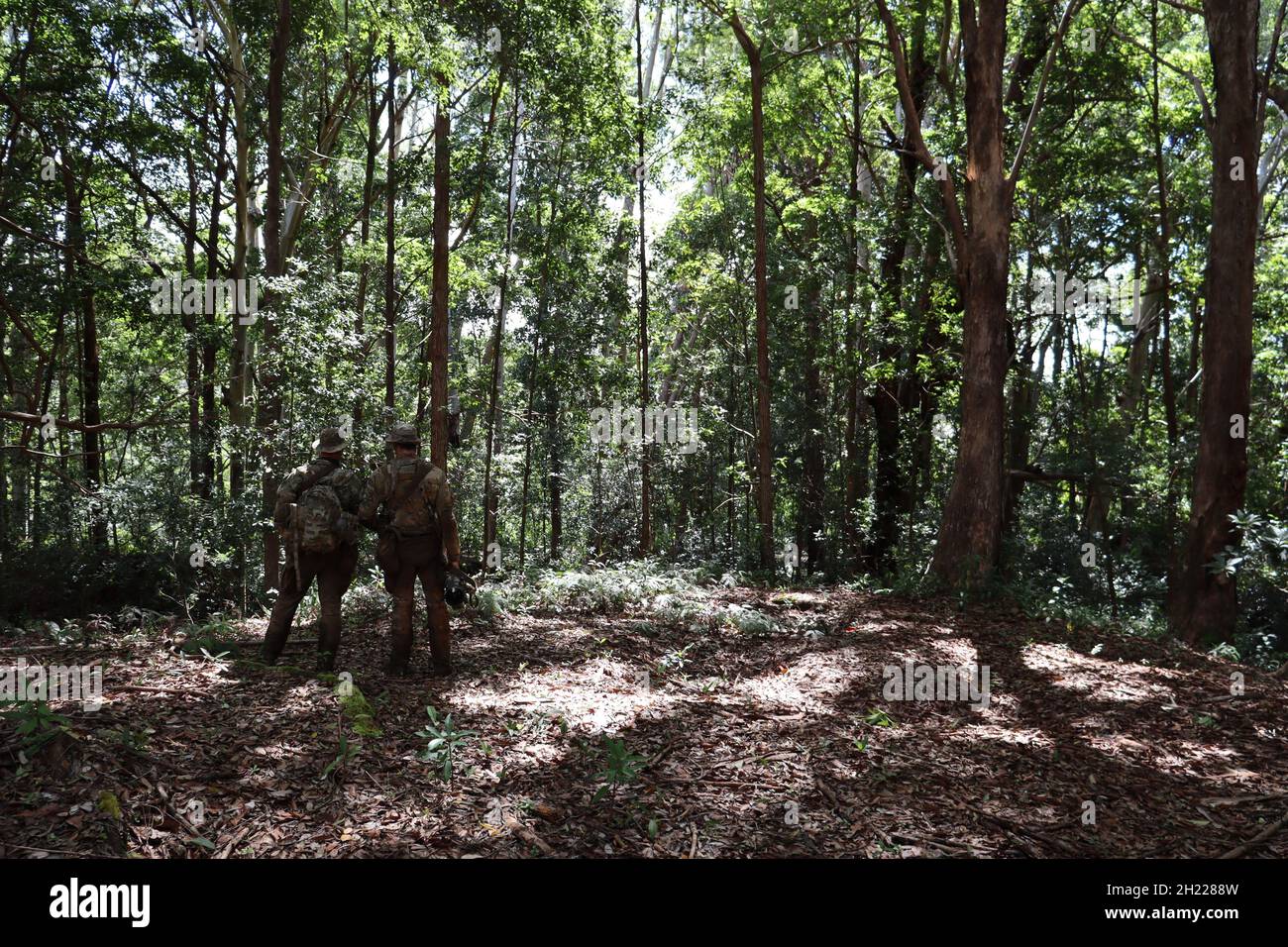 SCHOFIELD BARRACKS, Hawaii - Green Berets with 3rd Battalion, 1st ...