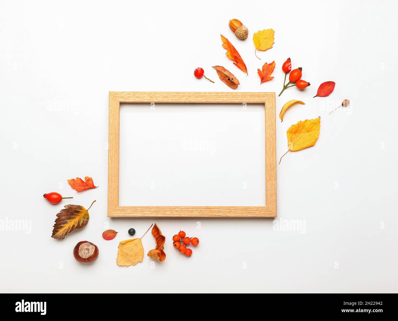 Wooden frame and autumn forest decor on white background Stock Photo ...