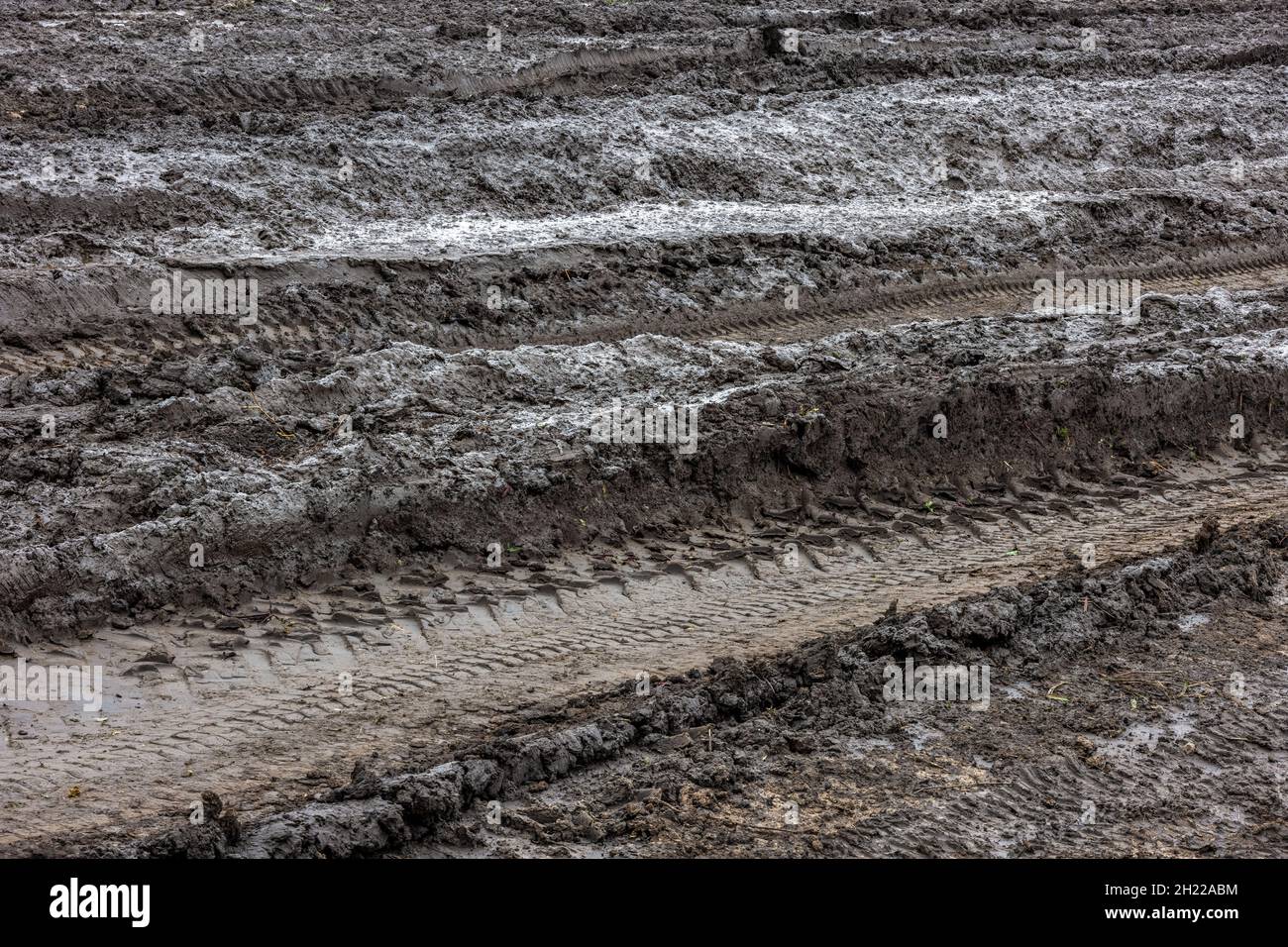 Wet dirt road after rain. Clay, dirt and soil at cloudy day light in ...