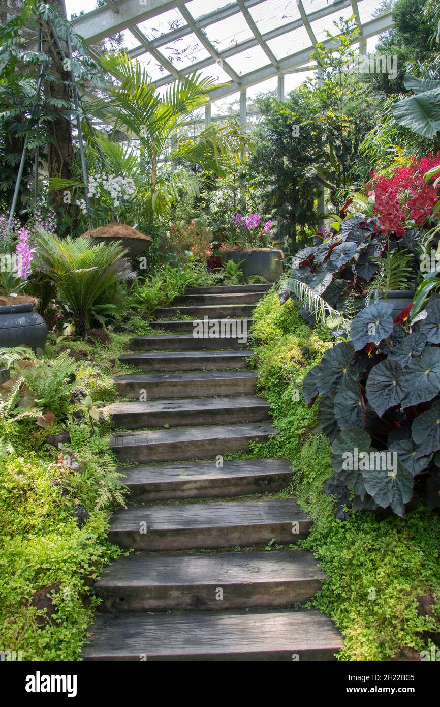 Interior of Tan Hoon Siang Mist House at National Orchid Garden ...