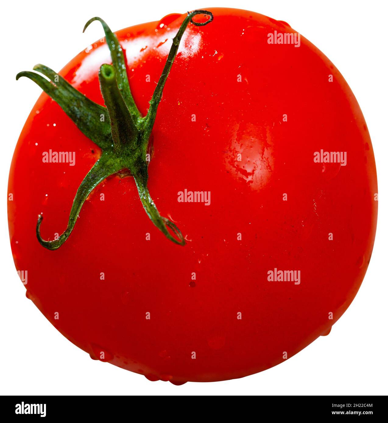 One red tomato on white background Stock Photo - Alamy