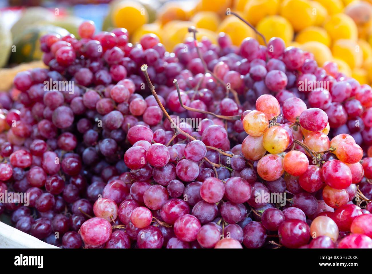 Bunches of red grapes in grocery store window Stock Photo - Alamy