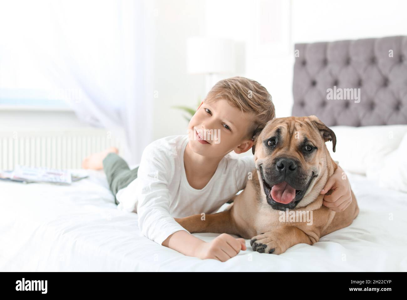 Cute little child with his dog resting on bed at home Stock Photo - Alamy