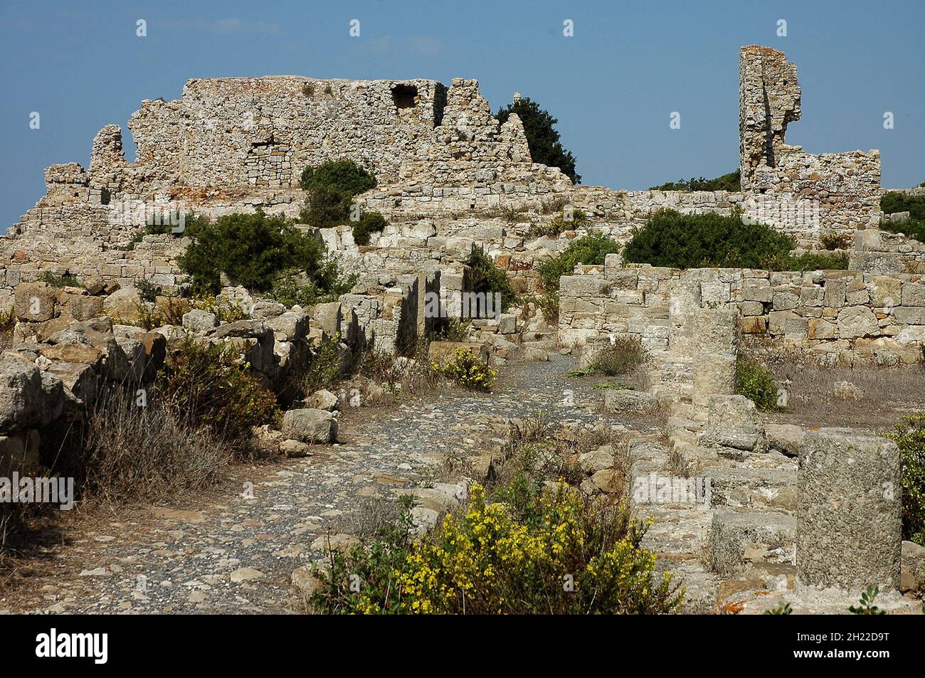 Phoenicians hi-res stock photography and images - Alamy