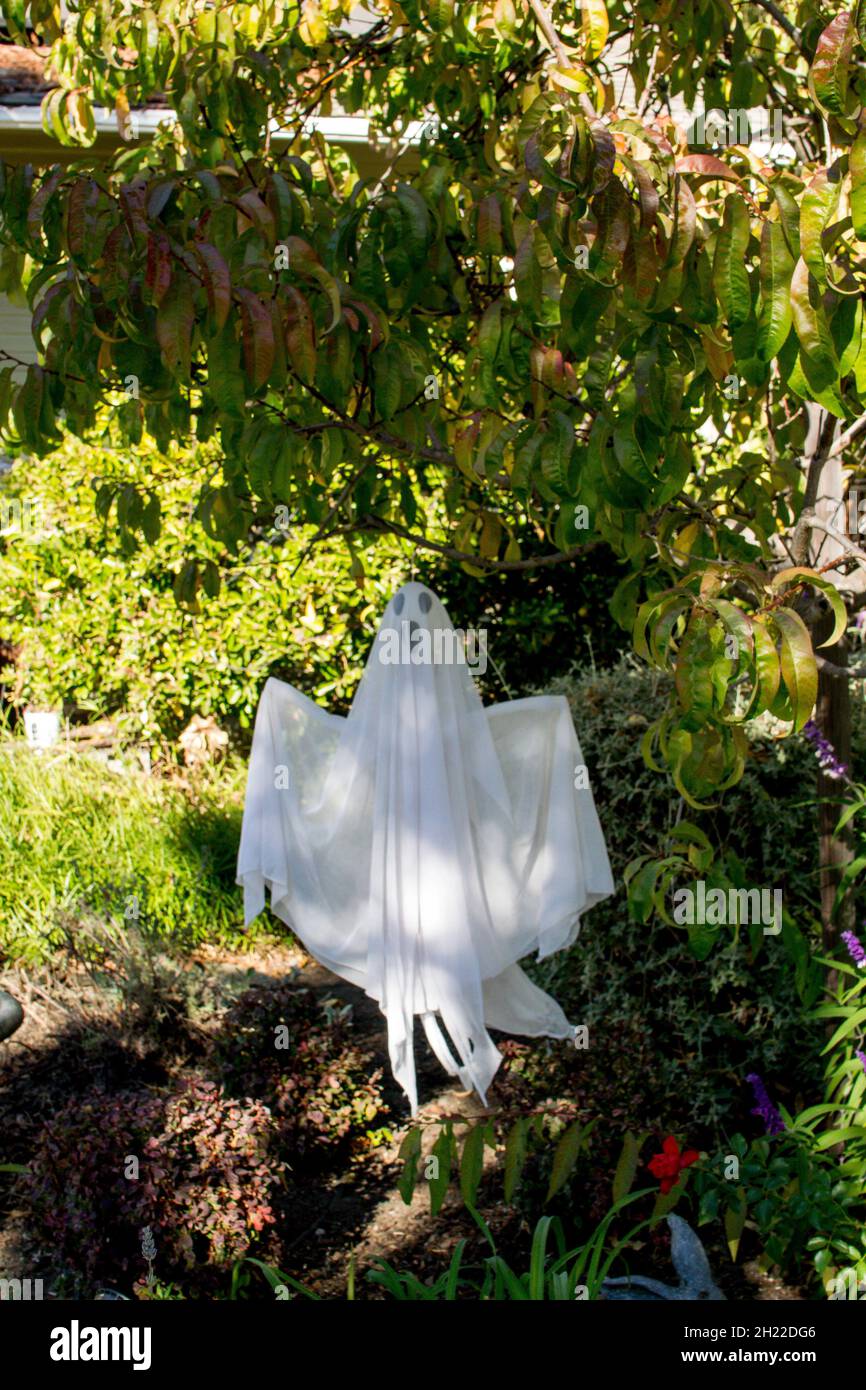 Spooky fabric hi-res stock photography and images - Alamy