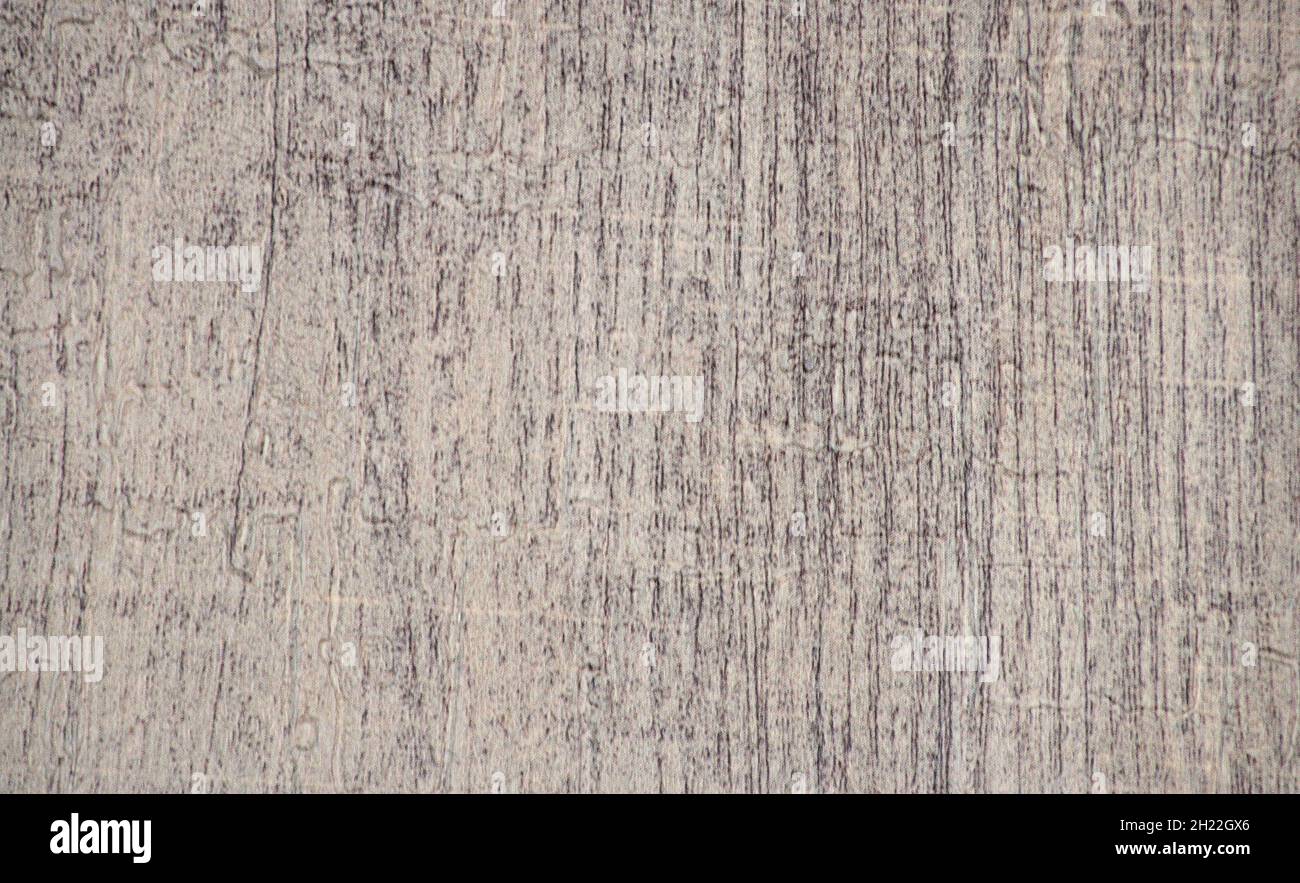 Bleached wenge walnut, flat surface of natural wood with vertical ...