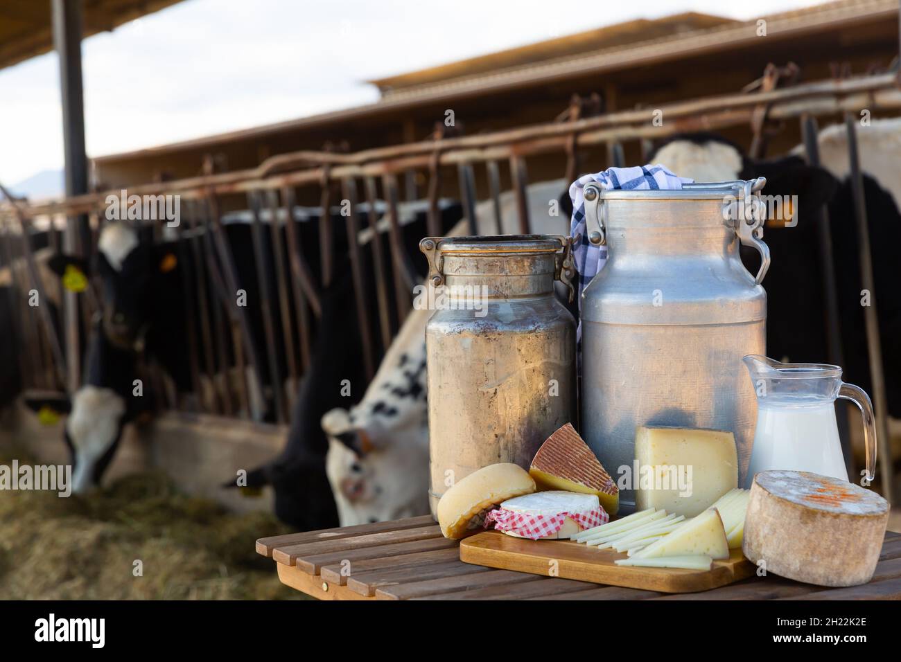 Farm fresh dairy products natural cow milk hi-res stock photography and ...