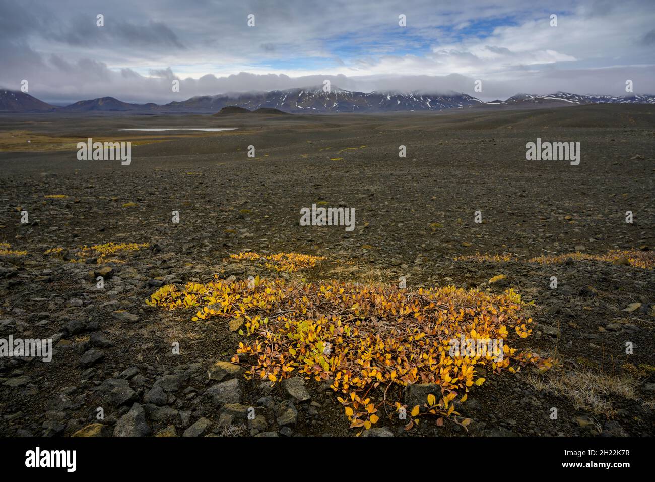Ground colors hi-res stock photography and images - Alamy