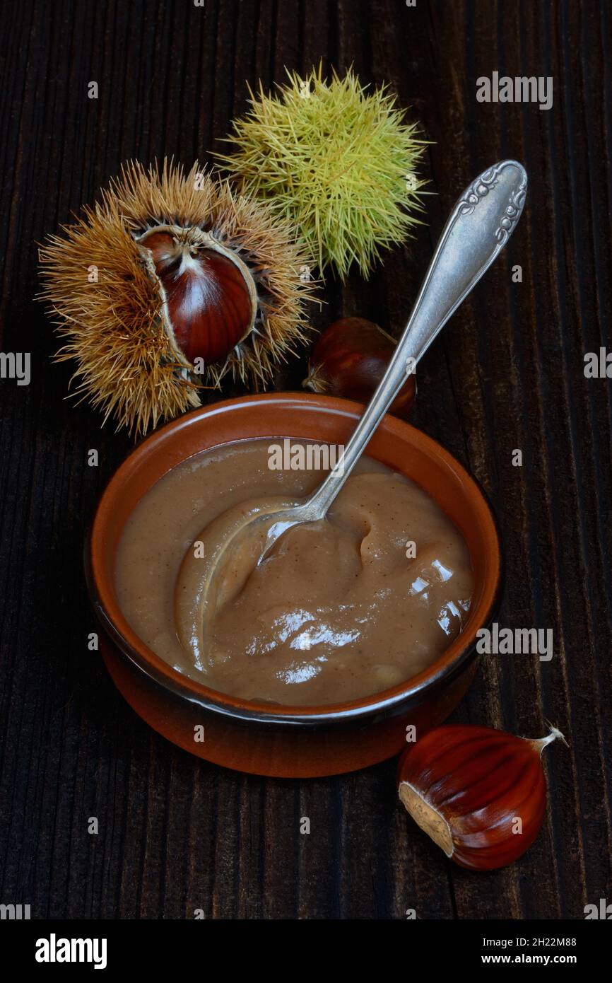 Chestnut cream in shell and sweet chestnuts (Castanea sativa), chestnut ...