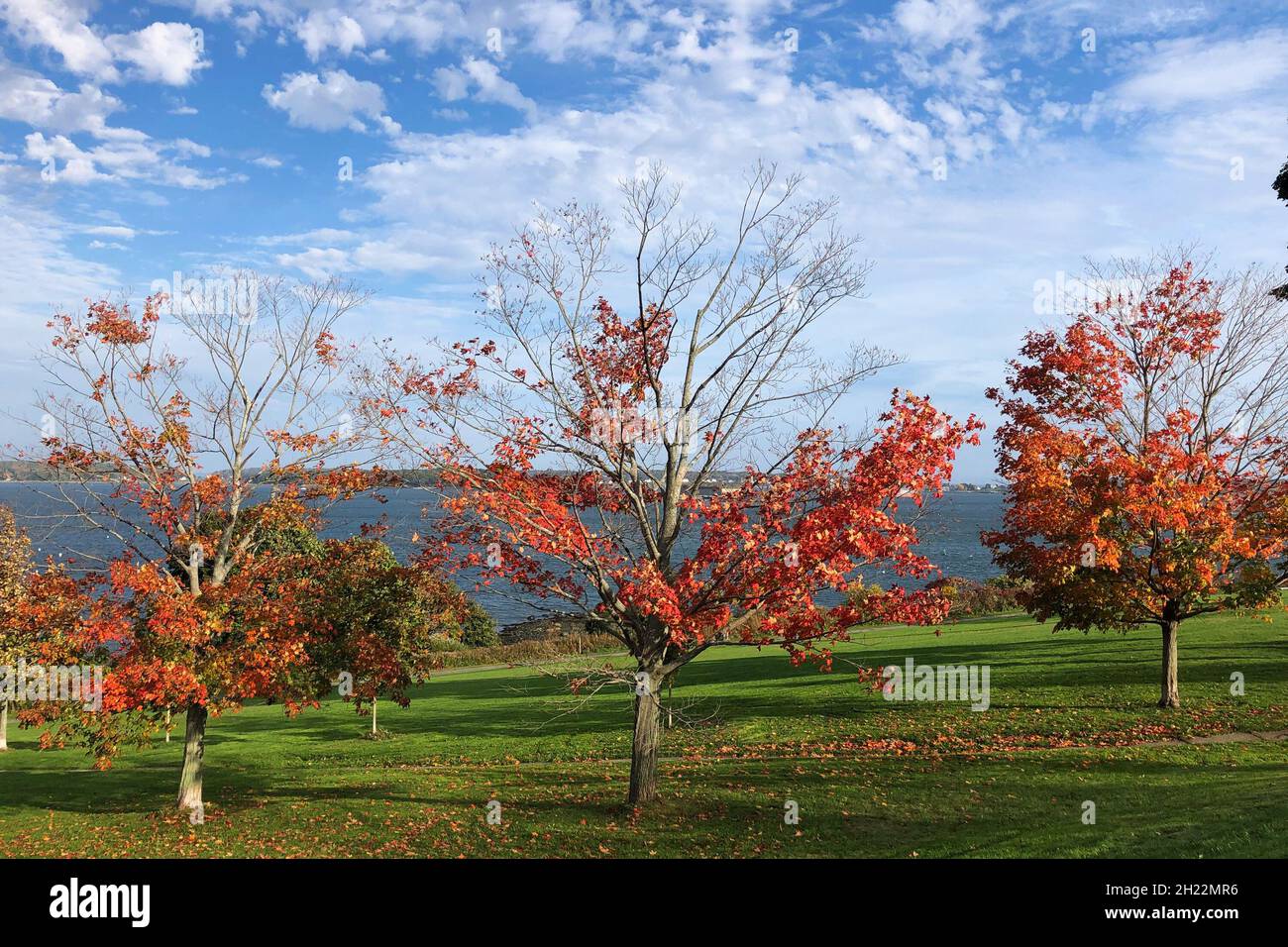 The leaves on the trees along the two-mile Eastern Promenade Trail in ...