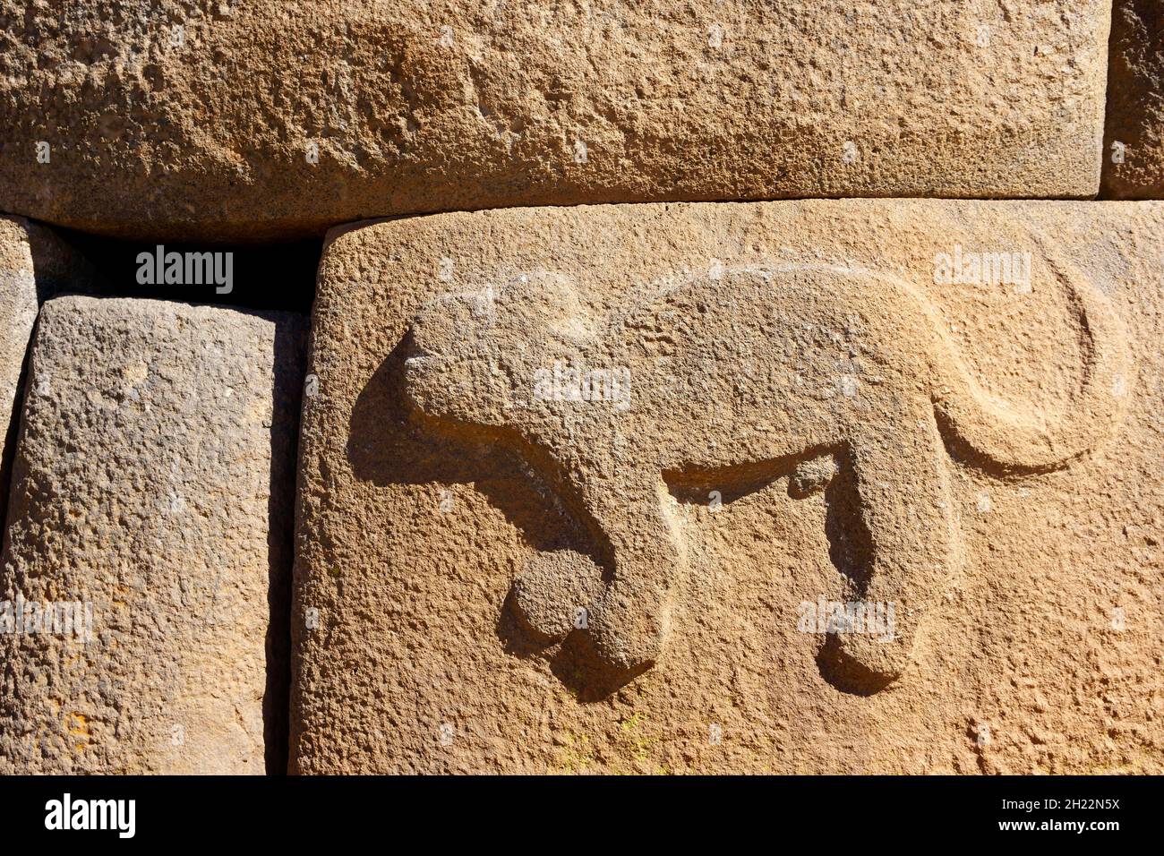 Stone tombs, Chullpas of Cutimbo, detail relief Cougar, Lake Titicaca ...