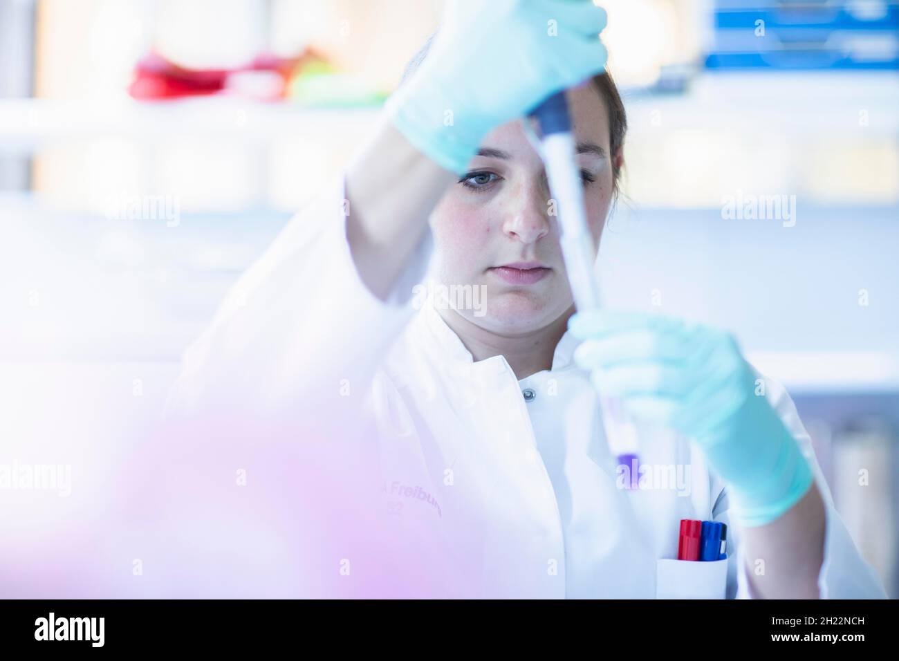 Lab technician with pipette and sample in petri dish working in a lab ...