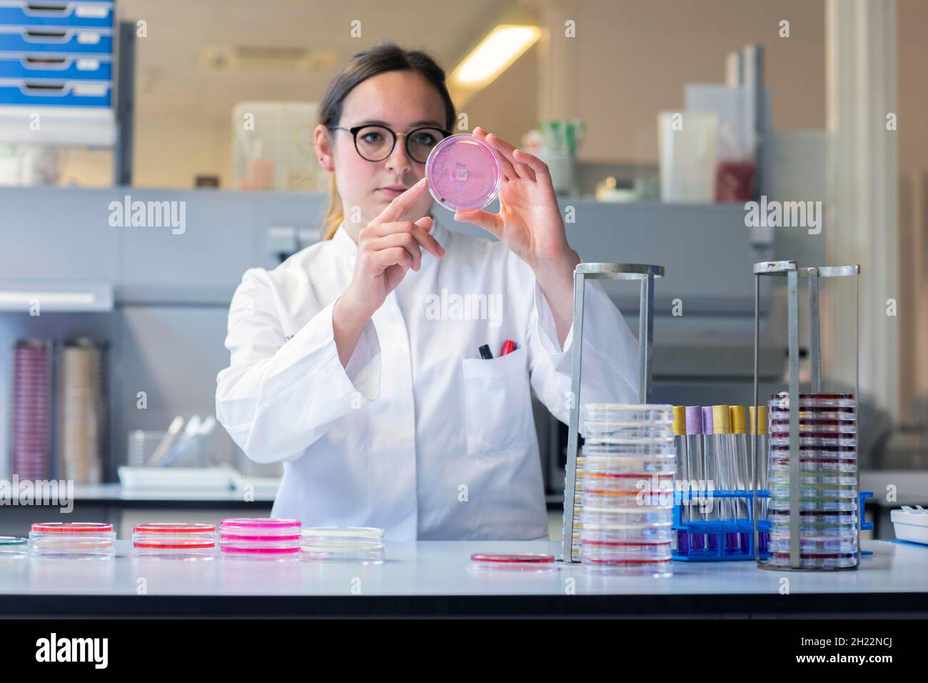 Lab technician with sample in petri dish working in a lab with lab ...