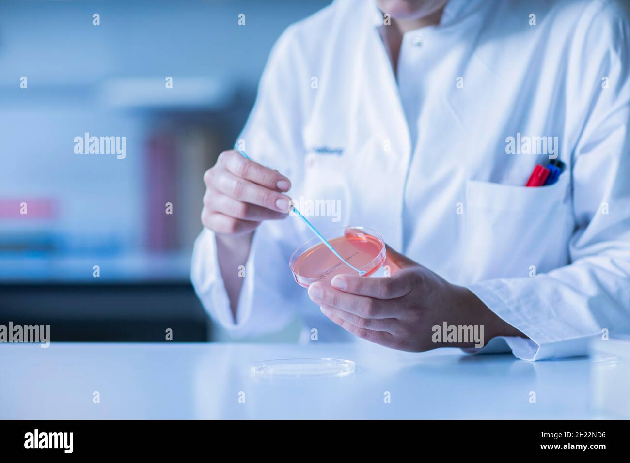 Lab technician with sample in petri dish working in a lab with lab ...