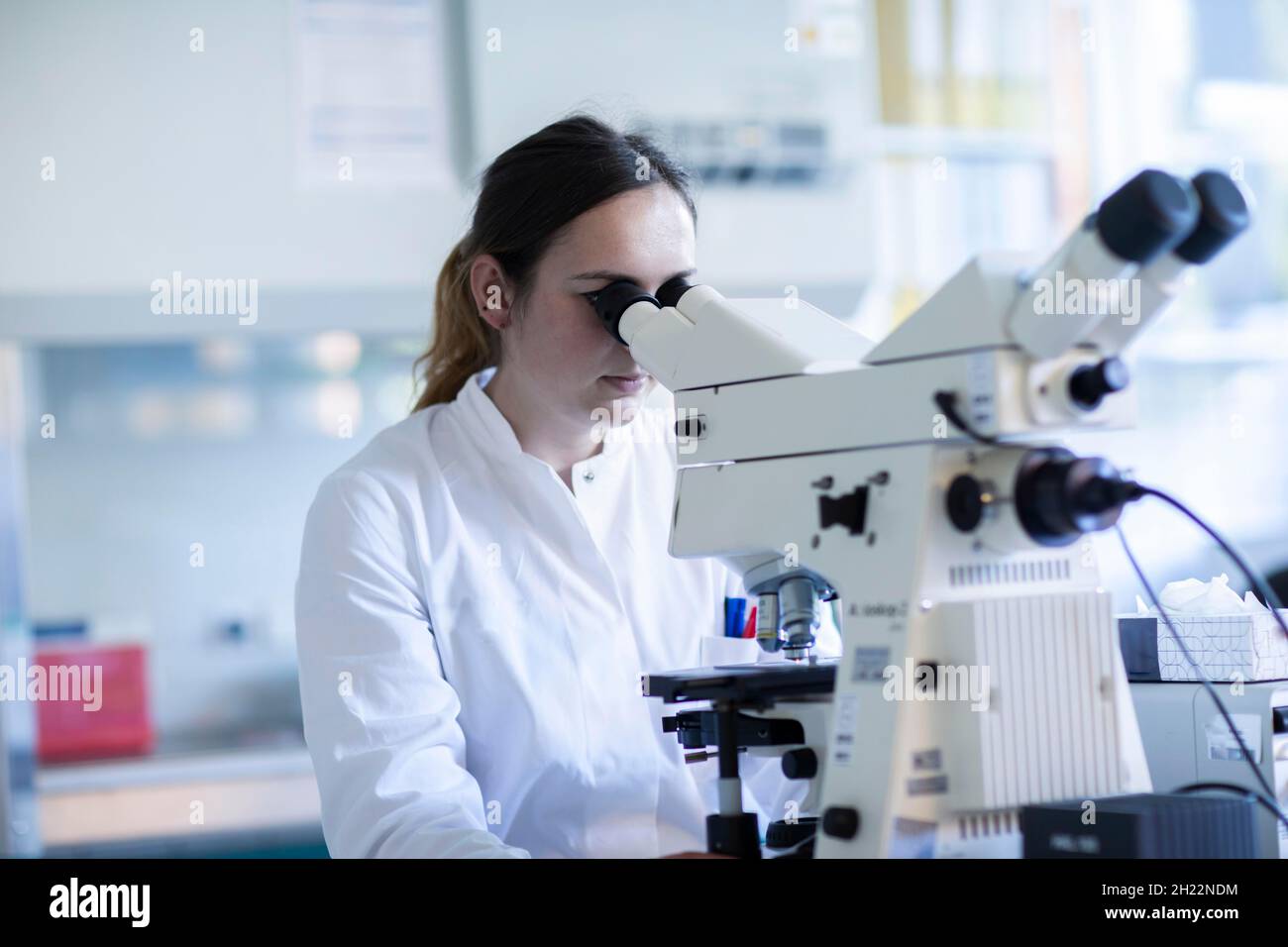 Young laboratory assistant with microscope and sample working in a ...