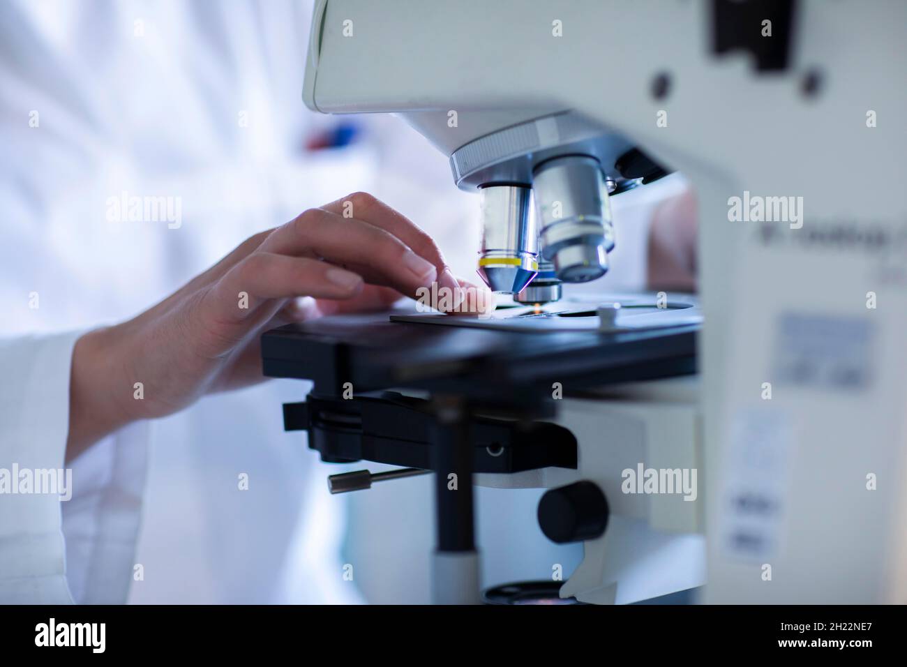 Microscope sample hi-res stock photography and images - Alamy