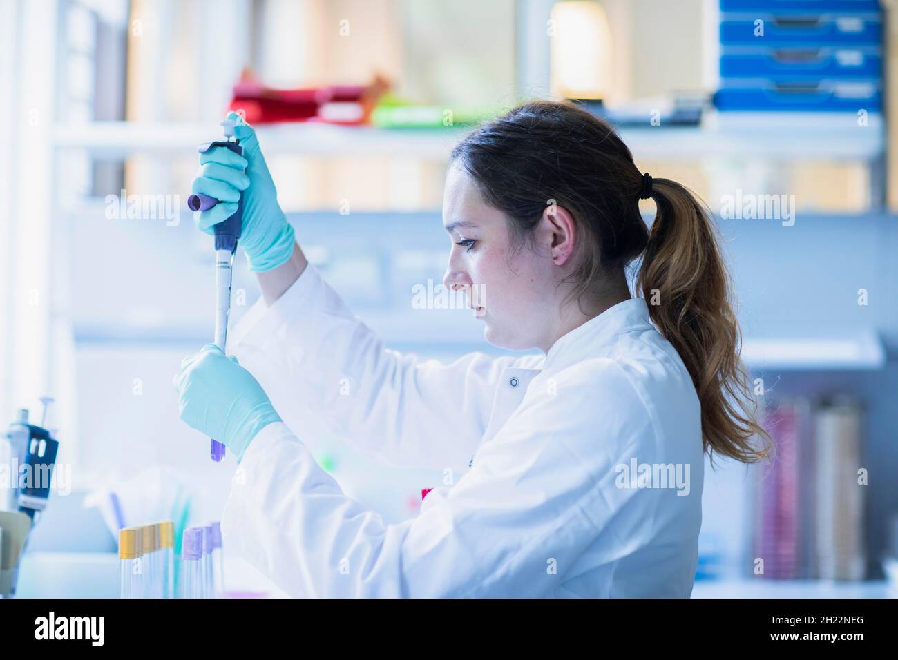 Lab technician with pipette and sample in petri dish working in a lab ...