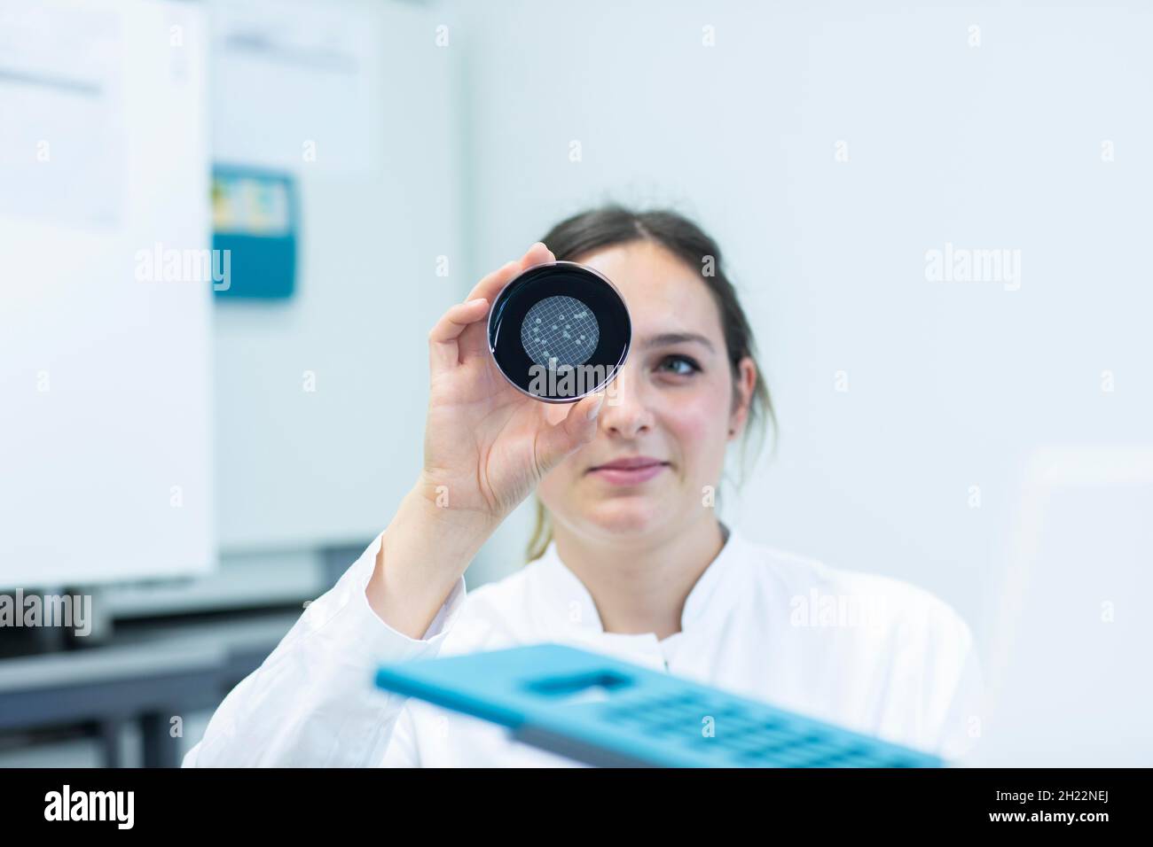Lab technician with sample in petri dish working in a lab with lab ... Lab technician with sample in petri dish working in a lab with lab ...