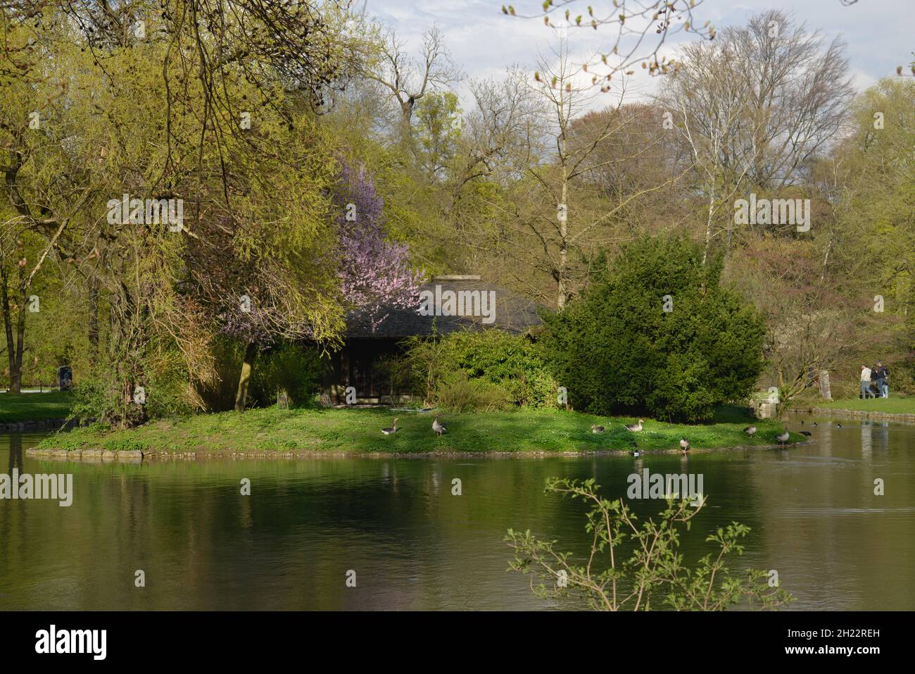 Englischer garten tea house hi-res stock photography and images - Alamy