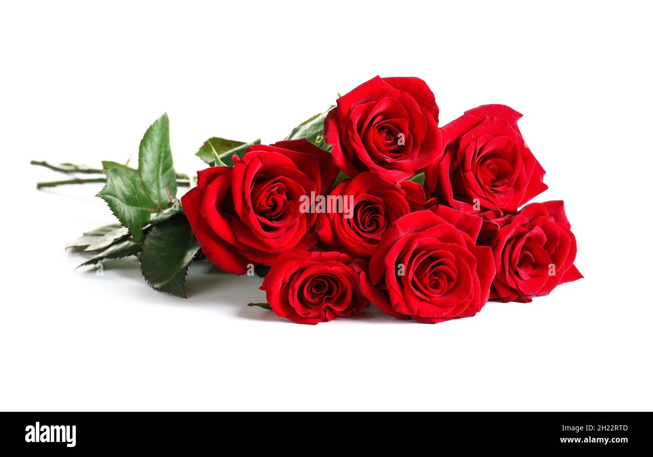 Beautiful red rose flowers on white background Stock Photo - Alamy
