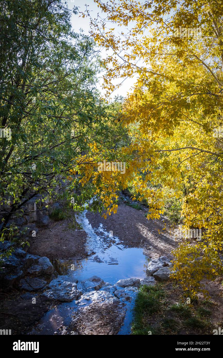 Autumn trees olong the Santa Fe river Stock Photo - Alamy
