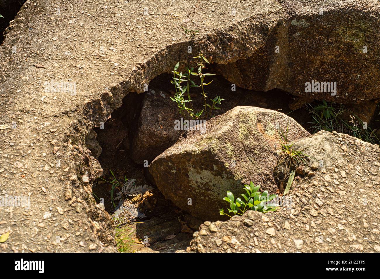 Pavement rocks hi-res stock photography and images - Alamy