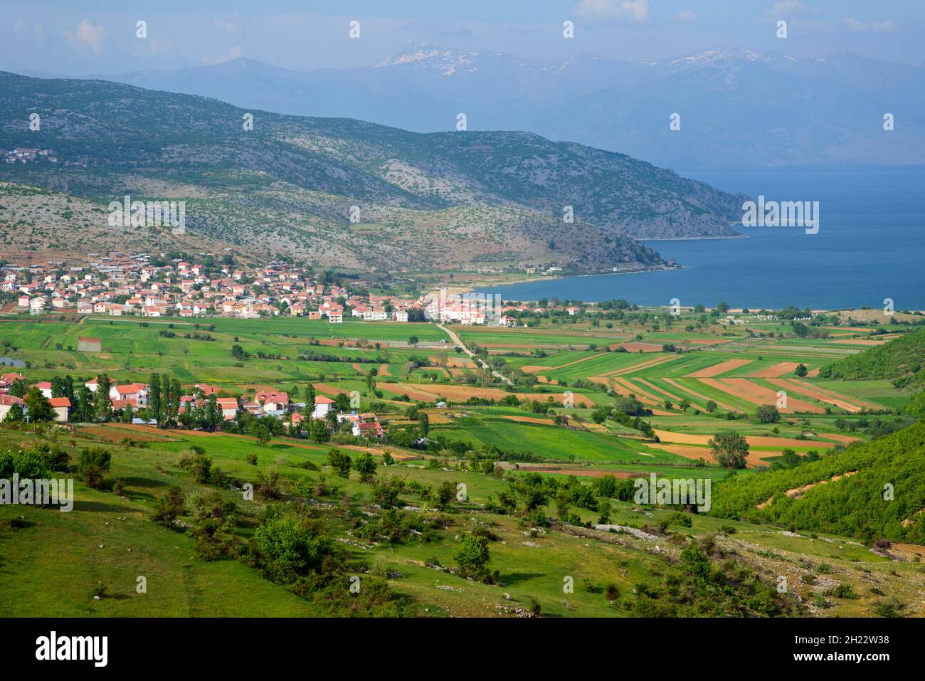 Pustec, Great Prespa Lake, Prespa National Park, Liqenas, Liqenasi ...