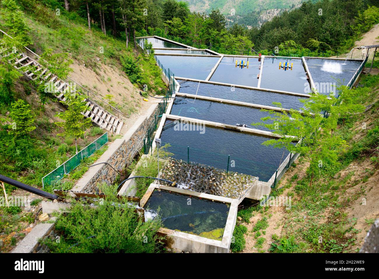 Fish farming, SH5, Albania Stock Photo - Alamy