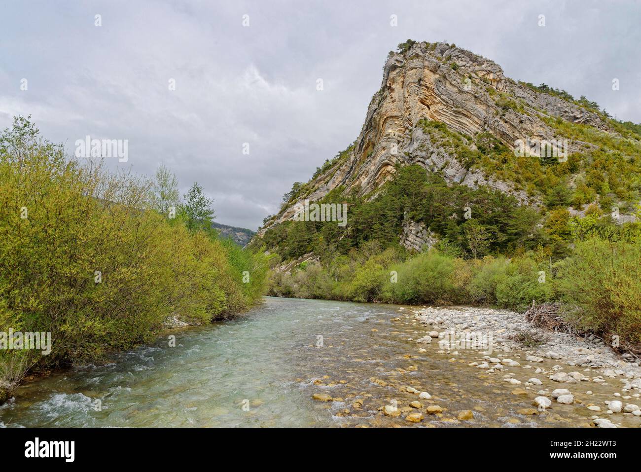 Chartreuse natural park hi-res stock photography and images - Alamy