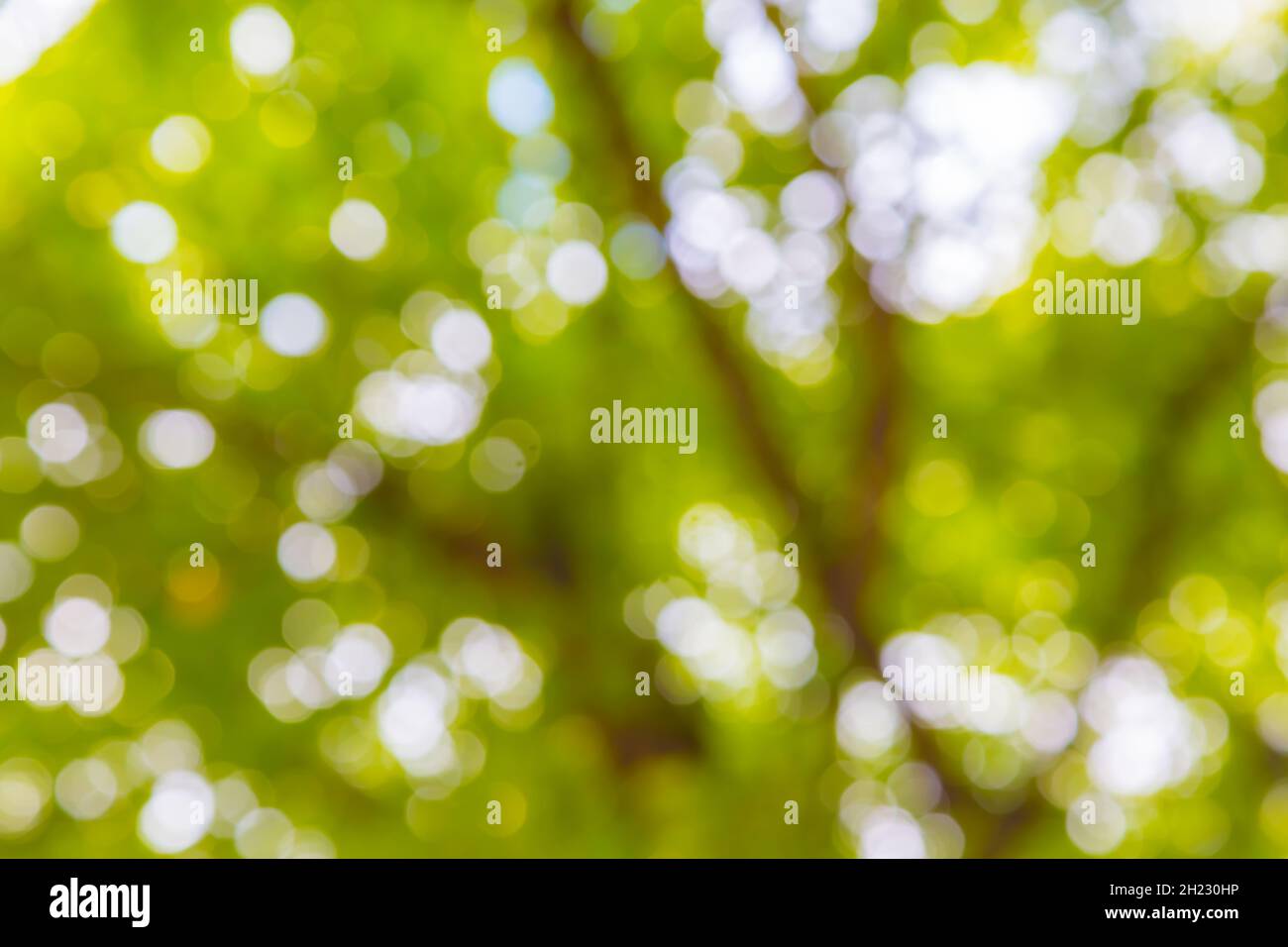 abstract bokeh blur defocus background Stock Photo - Alamy