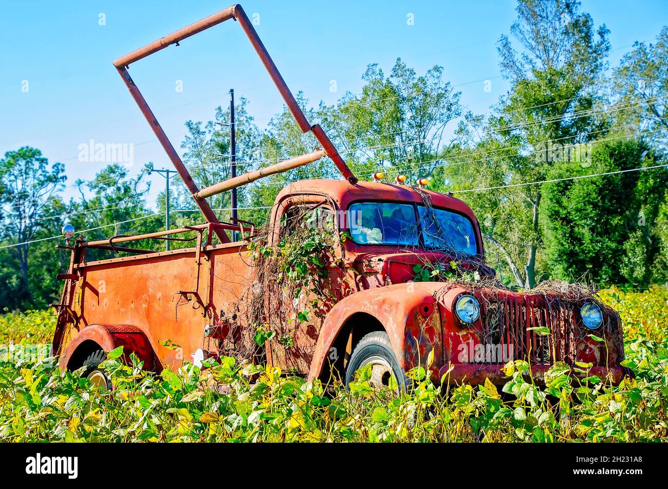 An antique 1940s American LaFrance fire truck sits in a field on ...