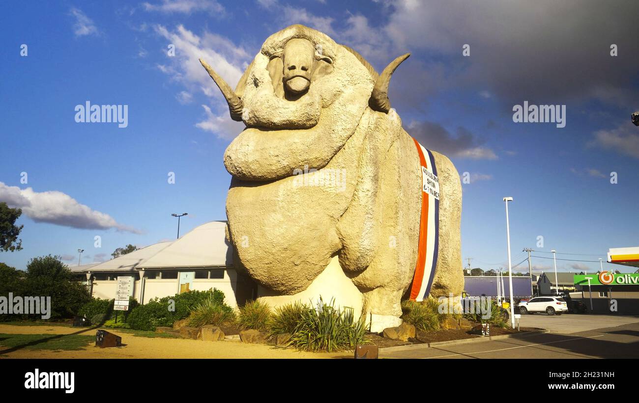 GOULBURN, AUSTRALIA - FEB, 14, 2021: front view of the iconic big merino statue at goulburn ...