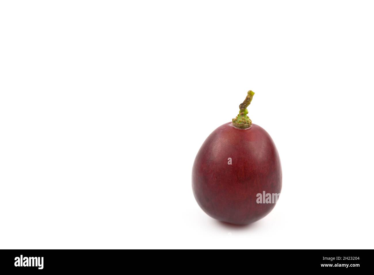 Single berry of red grape isolated on a white background Stock Photo ...
