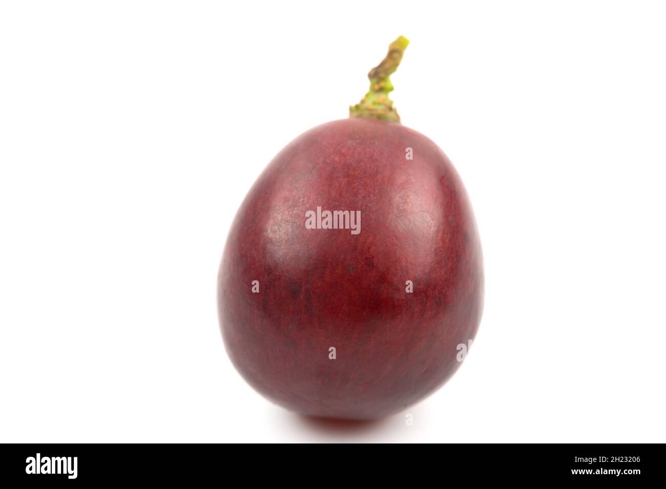 Single berry of red grape isolated on a white background Stock Photo ...