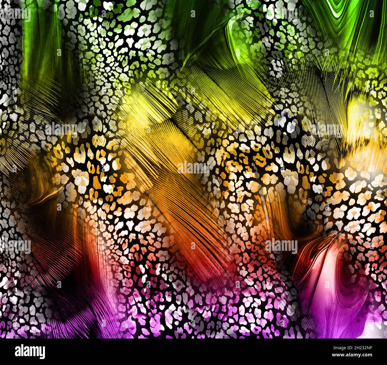 colorful animal prints, fabric patterns Stock Photo - Alamy