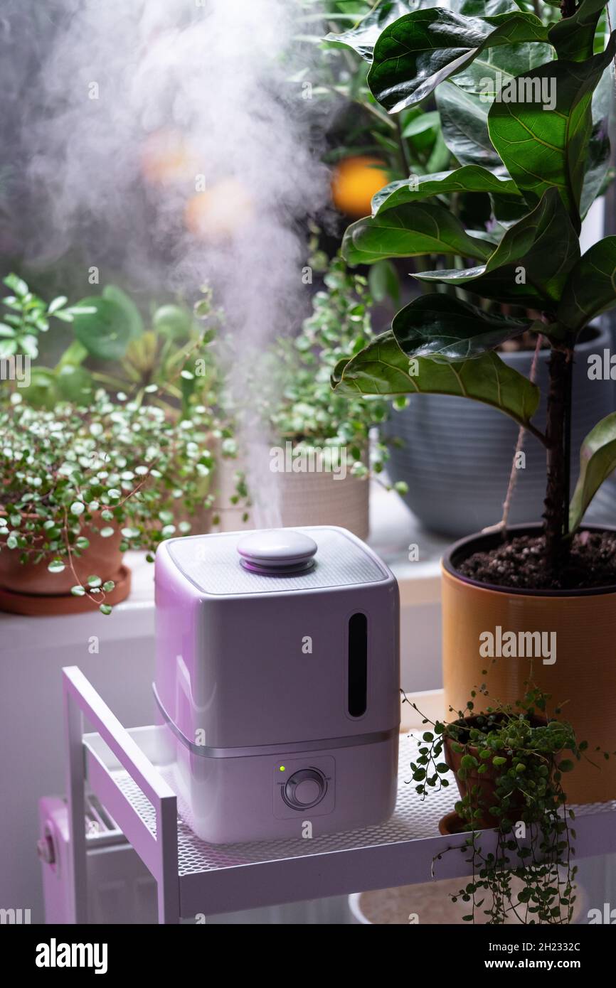 Steam from humidifier, moistens dry air surrounded by indoor ...