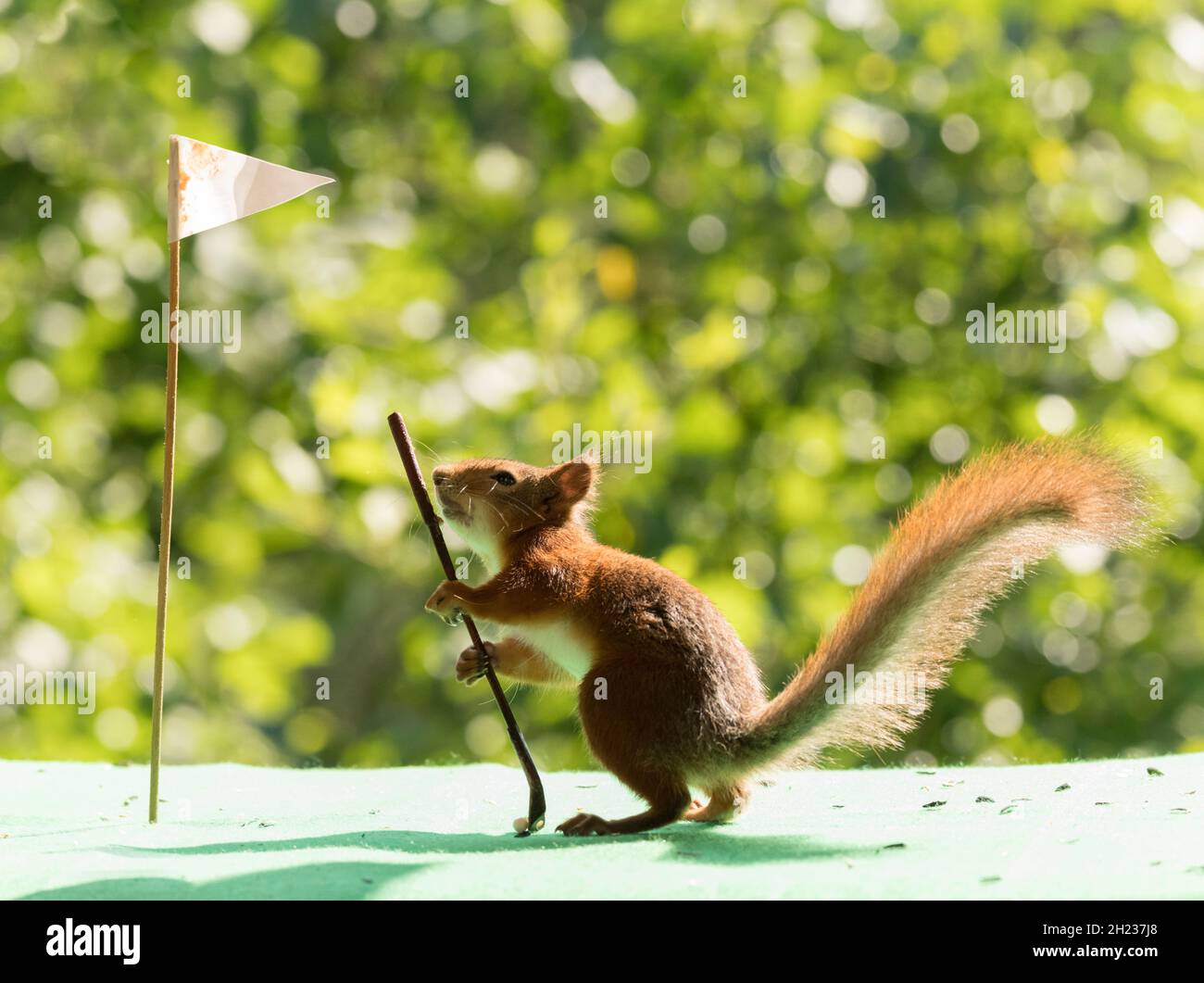 Holding a golf club hi-res stock photography and images - Alamy